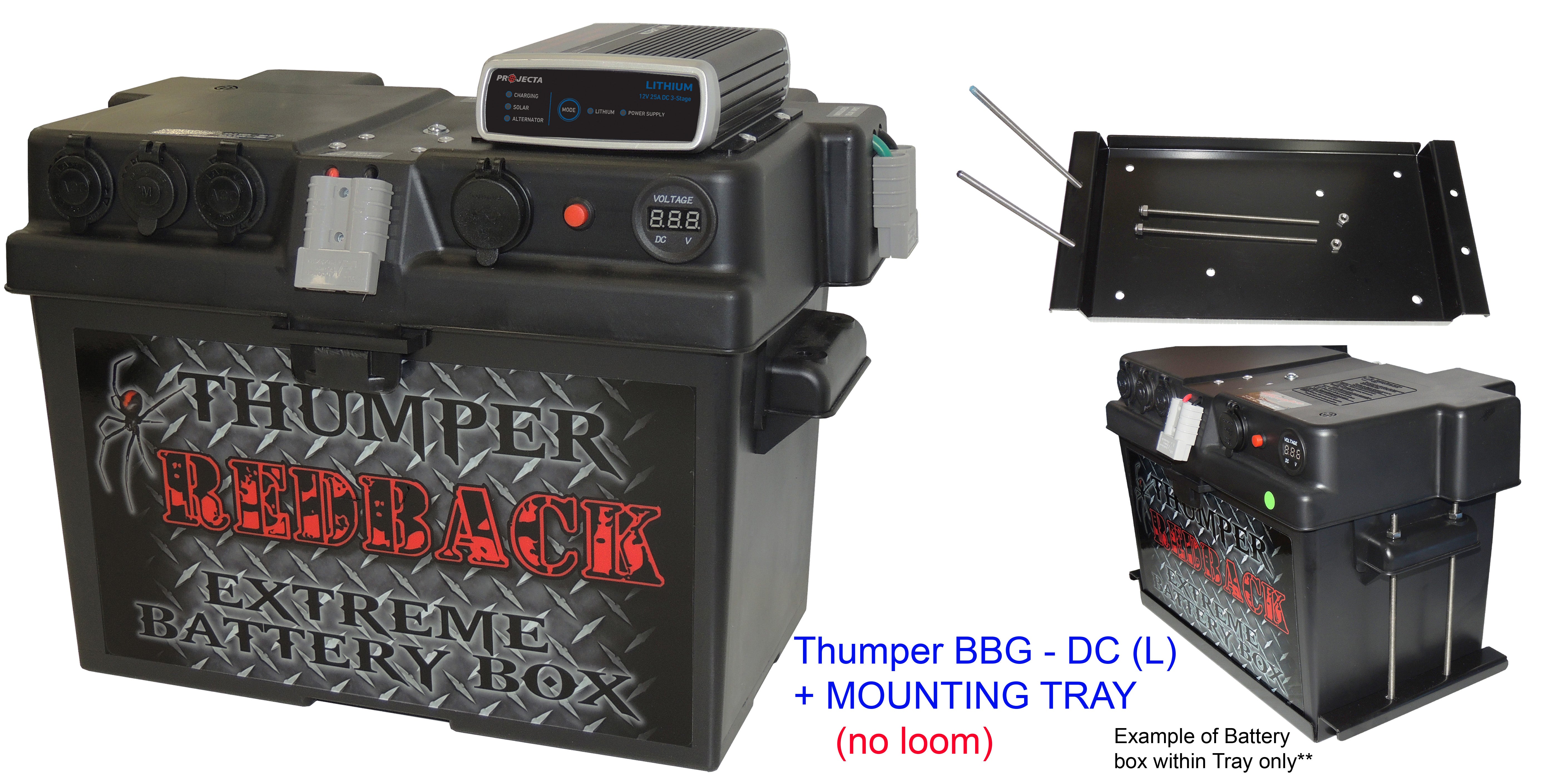 thumper-elite-redback-australia